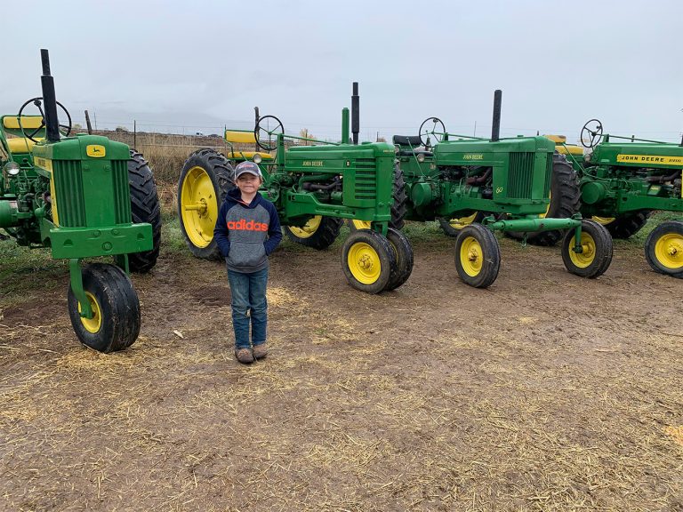 Gallery – Glen Rays Corn Maze