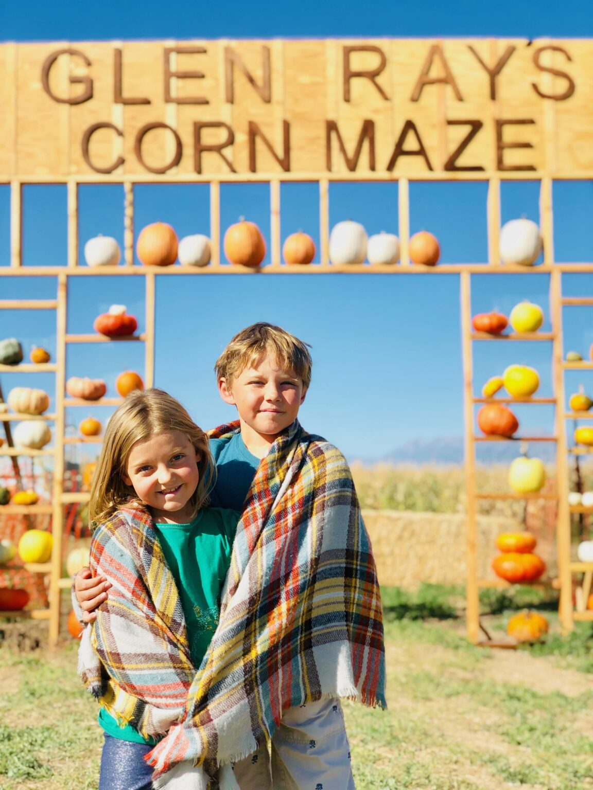 Gallery – Glen Rays Corn Maze