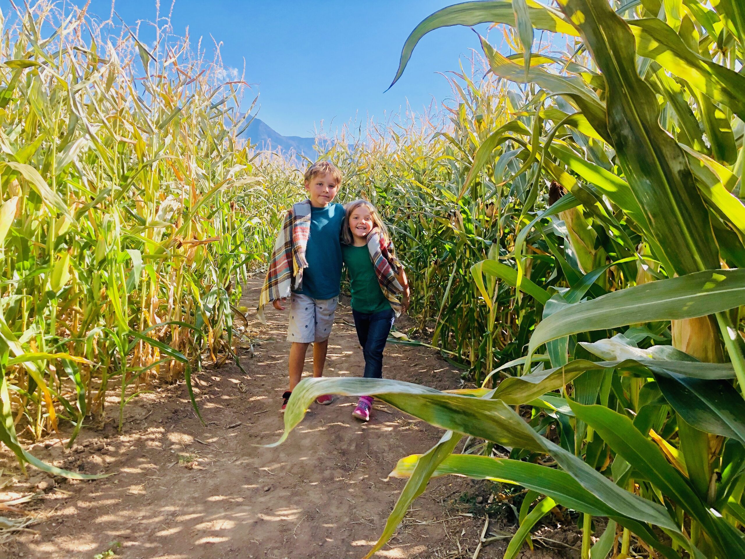 Gallery – Glen Rays Corn Maze