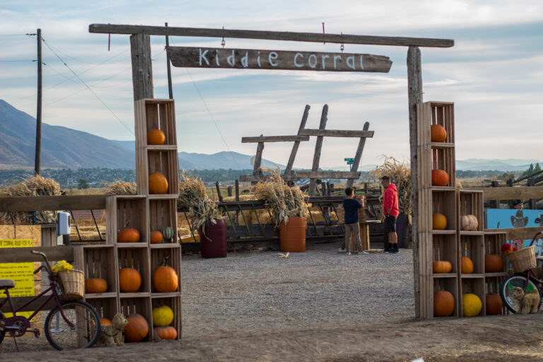 Gallery – Glen Rays Corn Maze